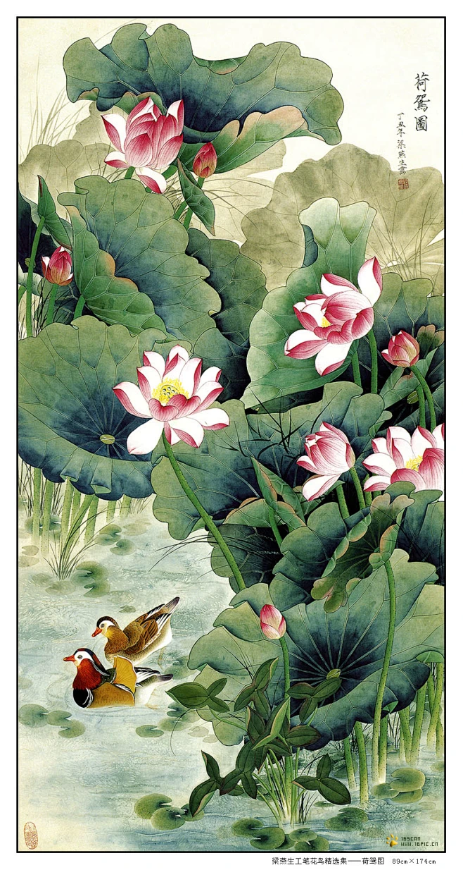 梁燕生工笔花鸟作品欣赏-花瓣网