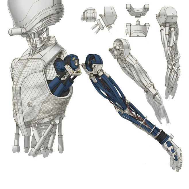 Jack shoulder joints 31.jpg-花瓣网