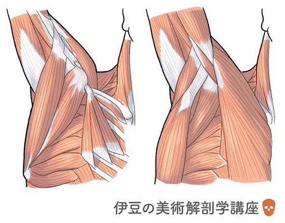 (5474) Pinterest-花瓣网