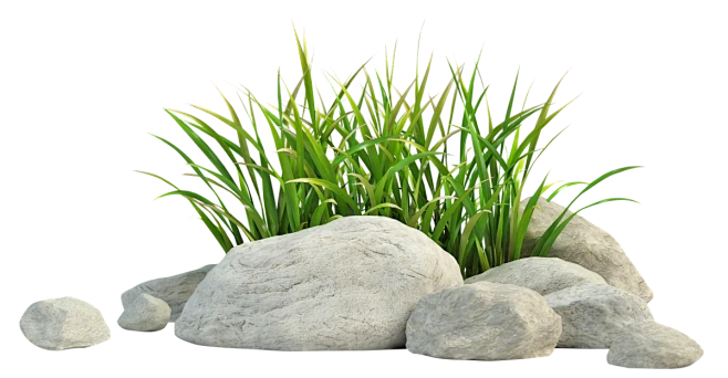 grass_2_0100015351ccfc-a9cc-456e-b8ef-3d96e535ad98Zoom-花瓣网