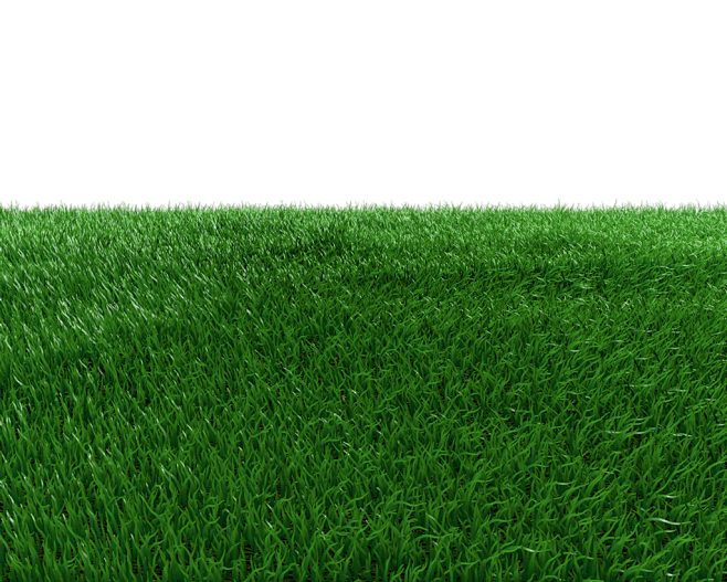 Grass-Field-PNG-Picture.png (1024×820)
