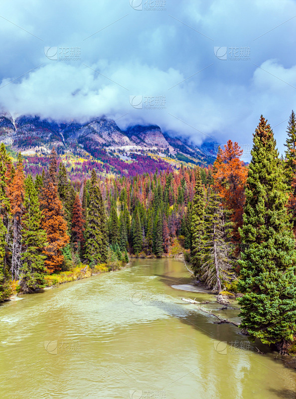 秋天,森林,九月,旅途,环境,加拿大,湖,河流,加拿大落基山脉,户外