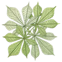 墙绘花卉参考图片大全-墙绘花卉参考高清好看的图片--花瓣巧颗力0233的画板