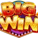 BIG WIN 59-花瓣网