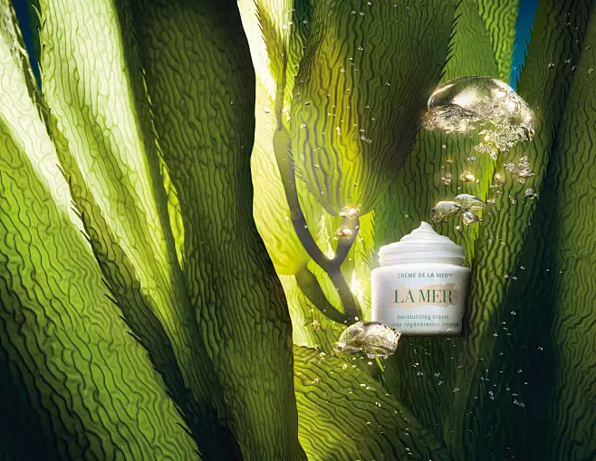 La Mer - Art Partner-花瓣网