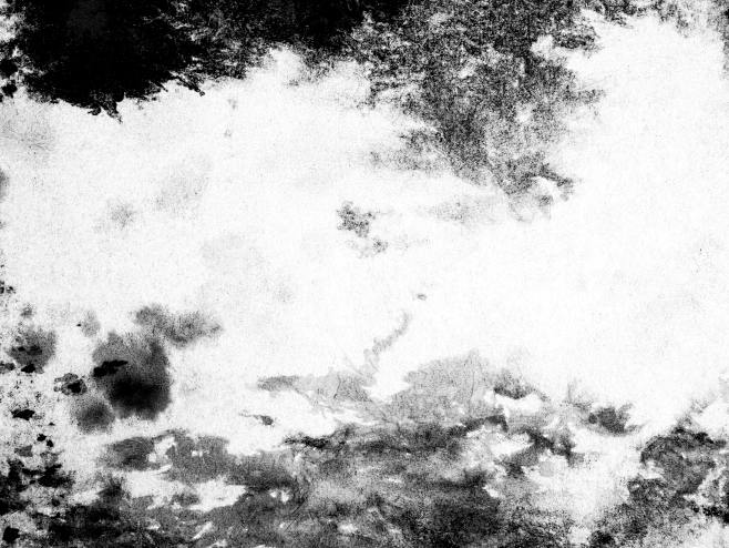 dan-cristian-padure-n3AkoipHeV0-unsplash