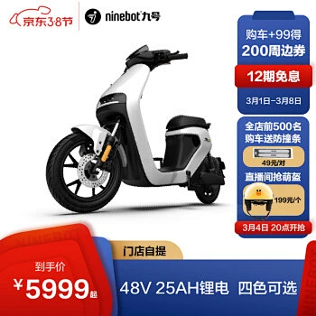 九号（Ninebot)【门店自提】C90长续航代步女助力车锂电池感应解锁定速巡航防盗智能电动车 到门店选颜色 其他地区-花瓣网