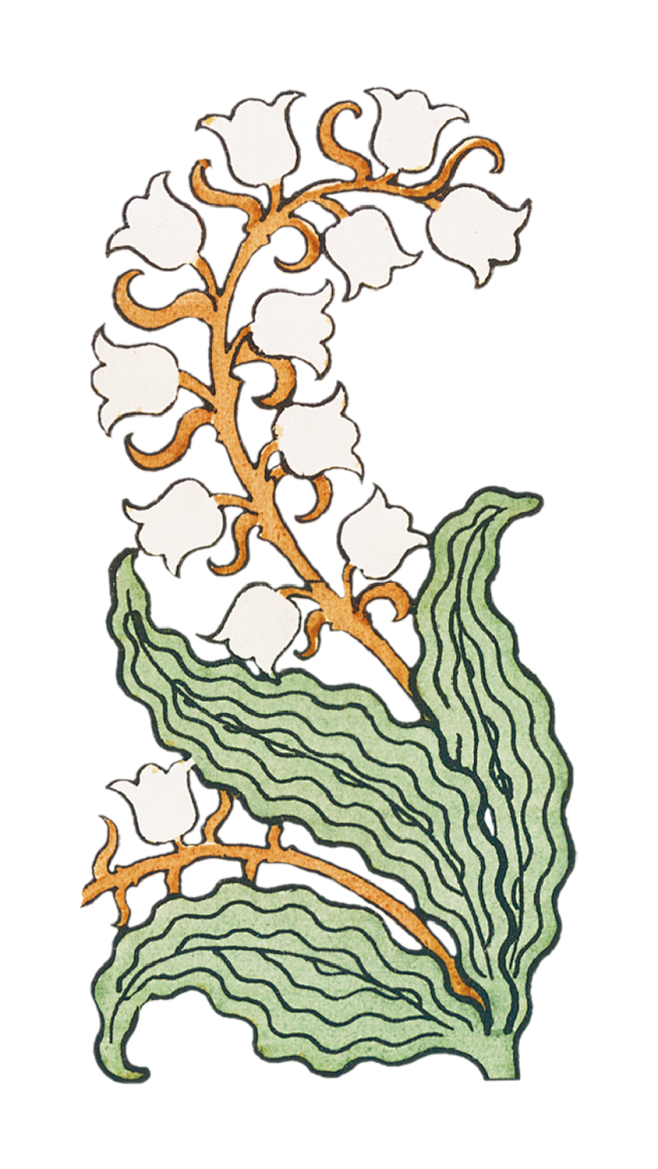 YUKI-MPV插画植物 (70)图片_穆夏新艺术运动图片素材-花瓣网