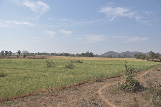 India_Countryside_099