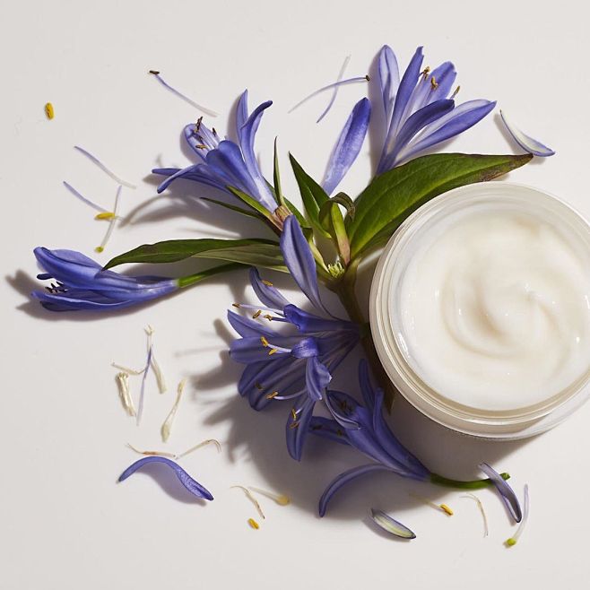 chase_J采集】Photo by philosophy on February 15, 2019. 没有照片描述。