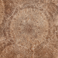 E材料-大理石-花瓣网|陪你做生活的设计师 | 瓷砖贴图