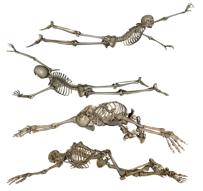 skeleton-3393783