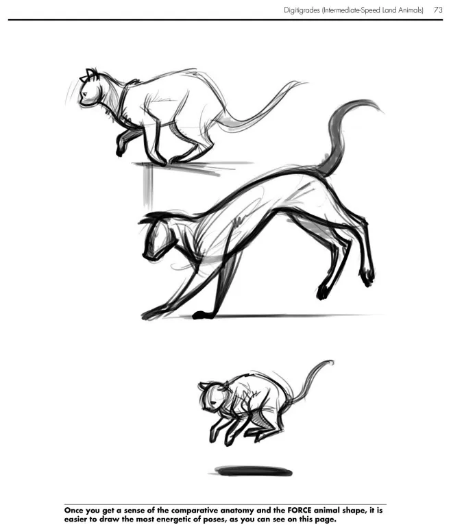 Force-Animal-Drawing-Animal-locomotion-and-design-concepts-for ...