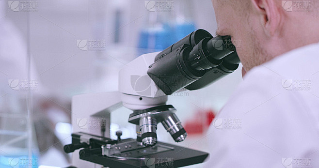 在实验室工作的人观察显微镜