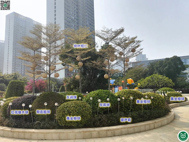 9bb58fb5-ec6b-42e1-b020-89c89823a4c6.jpg-花瓣网