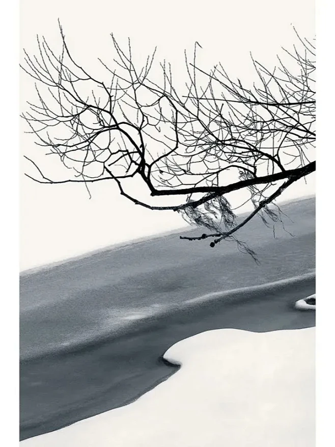 Sasa Gyoker || 禅意-花瓣网