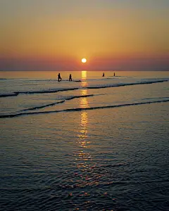 花瓣灵感详情页-花瓣网