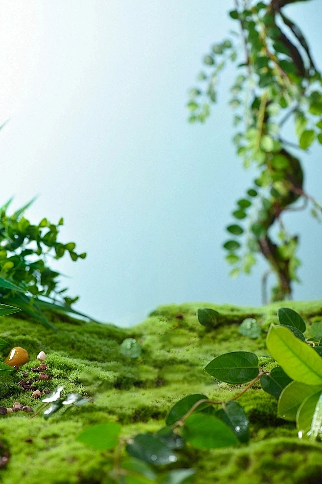 825b870bb0f30c5bb00dd58607aa98aa8488bca9a41a5-4VqyrN_fw658webp-花瓣网