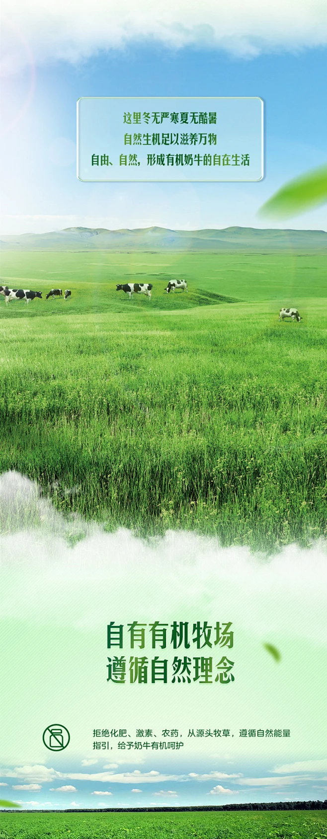 君乐宝旗舰店3段优萃有机幼儿配方牛奶粉三段 270g*1罐-tmall.com天猫-花瓣网