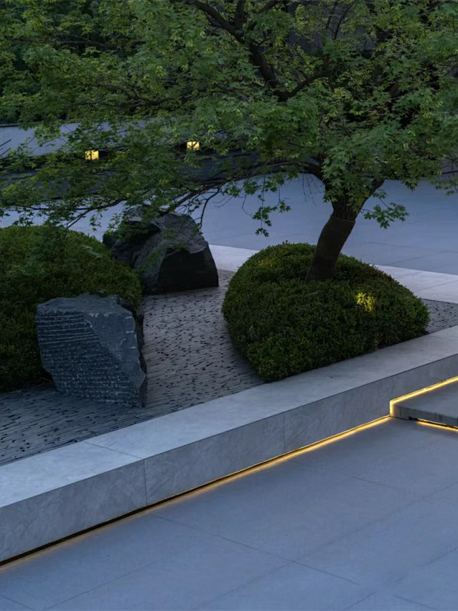 IMG_7362(20240323-203050)