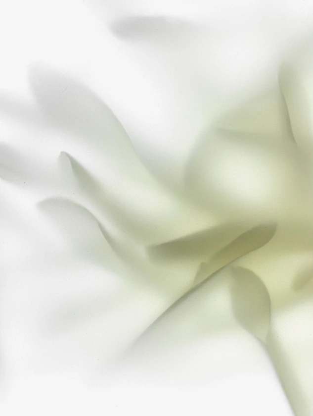 Fleurs Flowers blumen fiori blancFlowers decoration design-花瓣网