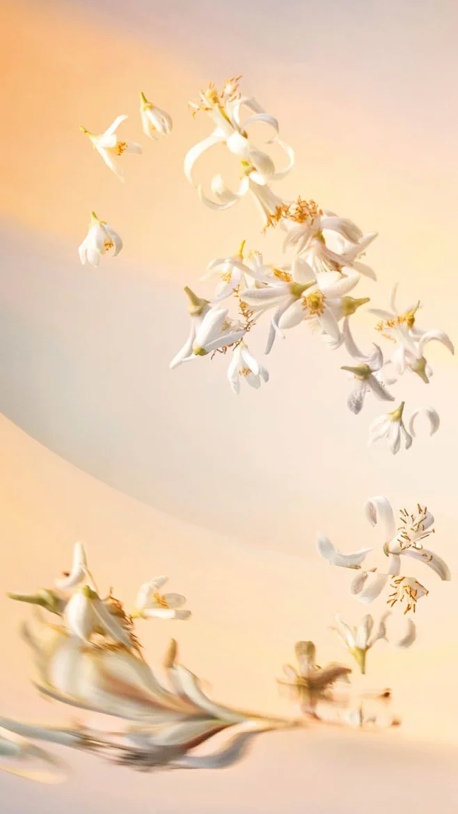 Fresh neroli takes flight alongside captivating spices, vetiver, and ...