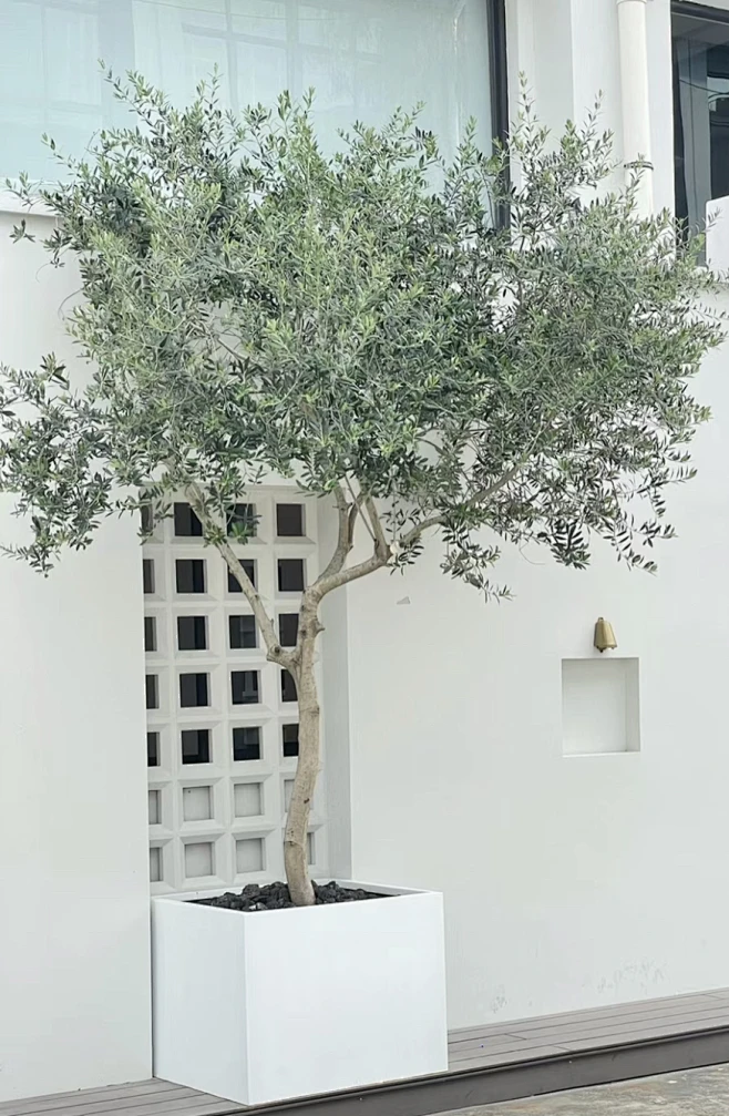 5230cf2a2e3ae1fdccc9554a73c0f72-花瓣网