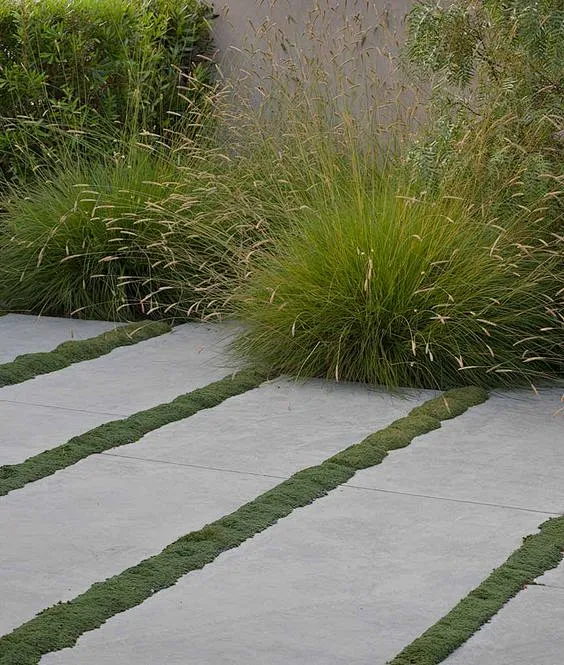 Concrete slabs with moss strips, can be replicated with mini Mondo ...