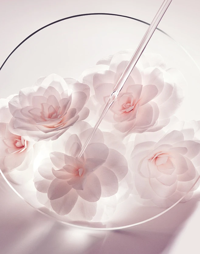 Complice - Artist : Gallery - Florian Sommet - Still life-花瓣网