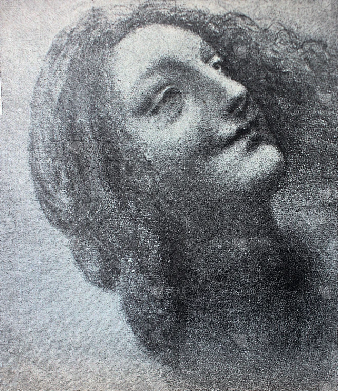 列奥纳多·达·芬奇在一本旧书里的年轻女子练习曲素材-花瓣网