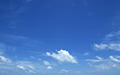 花瓣素材详情页-花瓣网