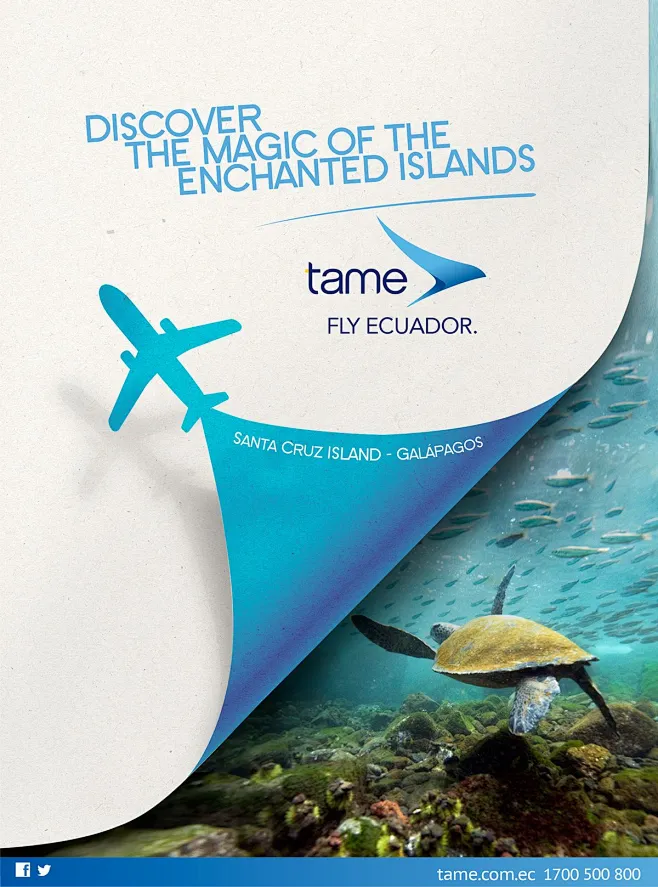 Tame Airline destiny-花瓣网