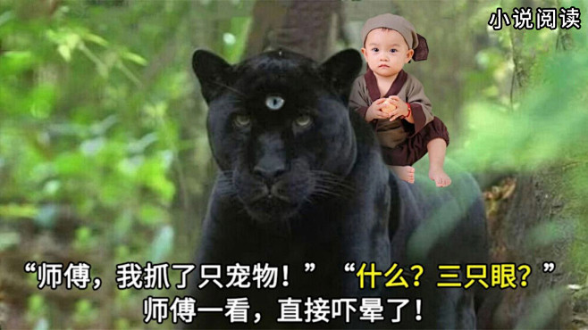 通用-无-玄幻大图-26LSQ-0803 (2)