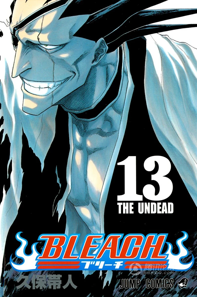 Bleach_cover_13.jpg-花瓣网