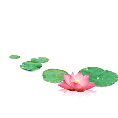 【米图网-52mitu.com】荷花 荷叶 png 免扣 素材蓝色互联网地球矢量元素-花瓣网