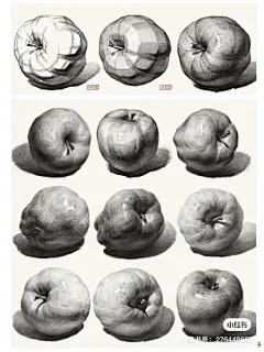 单体静物图片大全-单体静物高清好看的图片--花瓣简单点挺好的的画板