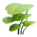 花瓣灵感详情页-花瓣网