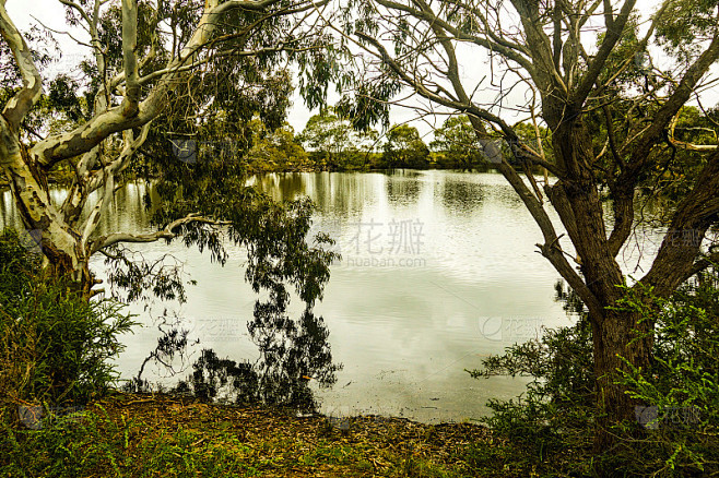 Rokewood,维多利亚,澳大利亚