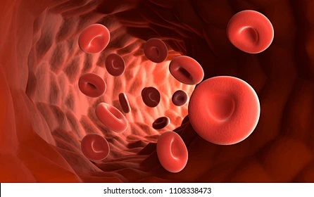 血栓库存照片3010784 %7C Shutterstock_5015d0dd-花瓣网