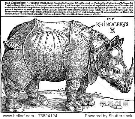 Vector copy of a Rhinoceros woodcut (1515) by German medieval artist ...