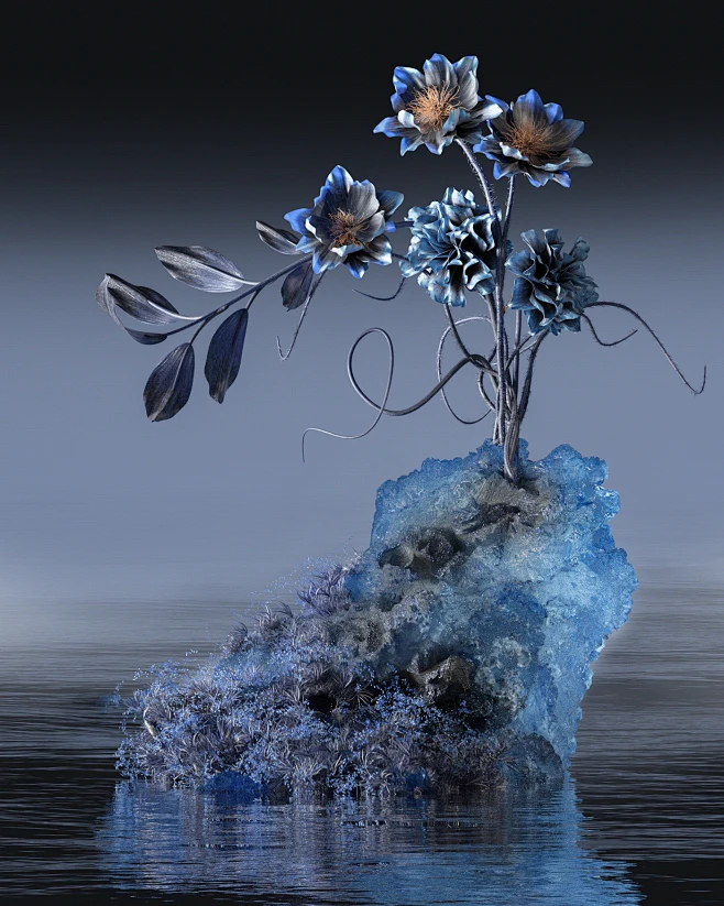 Still Life-花瓣网