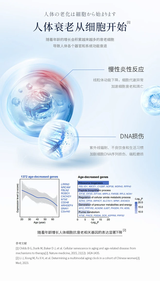 LIFESUGI柏生泰4代 百生态酶 日本进口细胞线粒体激活NAD+提升 XTRegen 升级NAD 1盒【每天1-2粒】60粒【图片 价格 ...