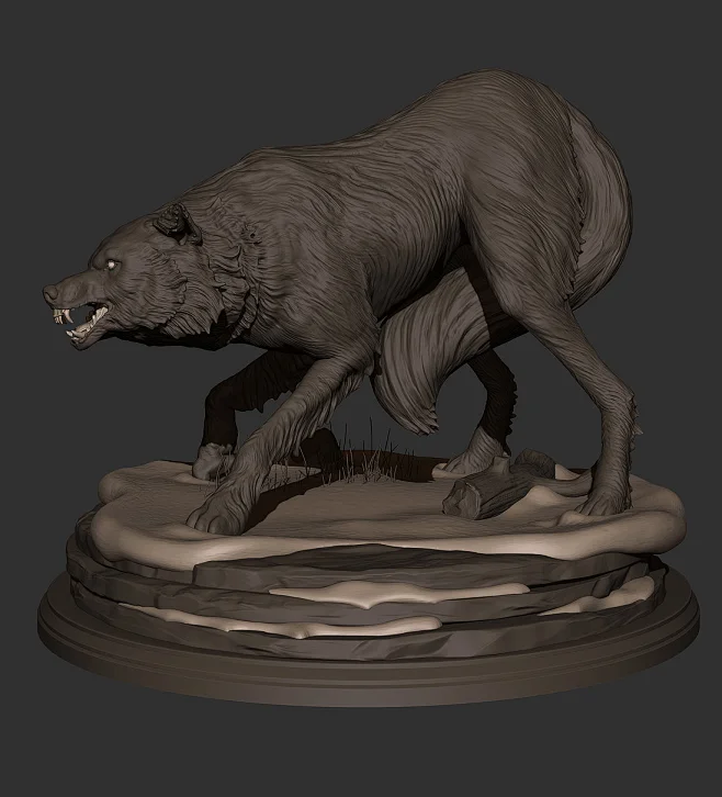 Wolf study-花瓣网