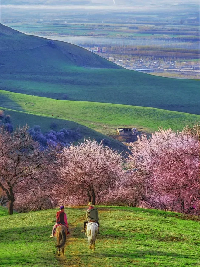 新疆伊犁新源县吐尔根乡杏花沟攻略-花瓣网