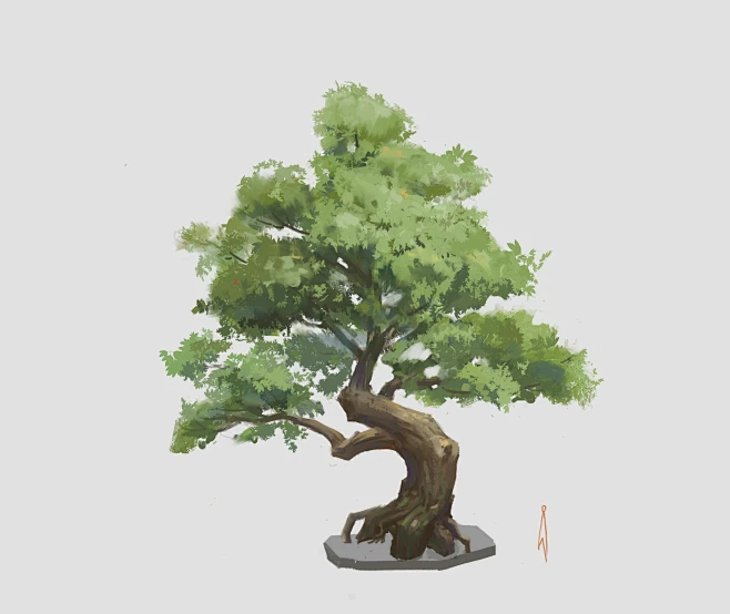 植物, zhi TIan : 植物-花瓣网