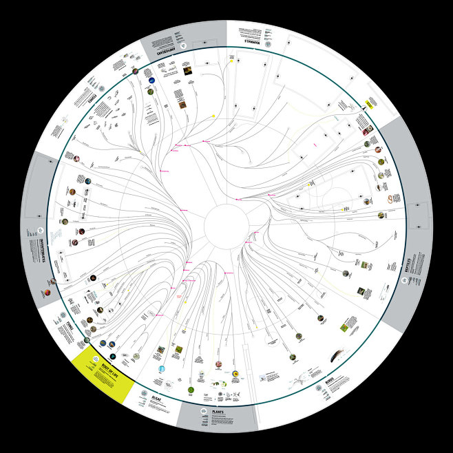 environmental graphic EXHIBIT DESIGN graphic design typography ...