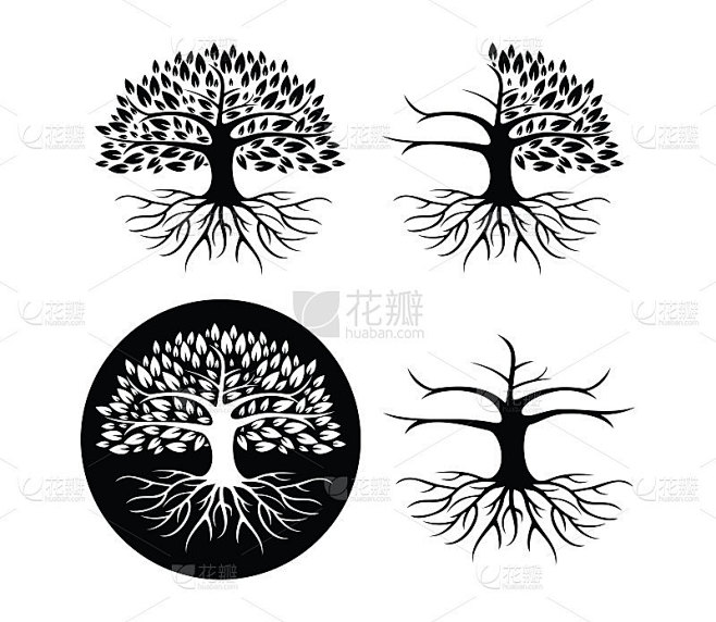 树根的树标志插图。树的矢量剪影。