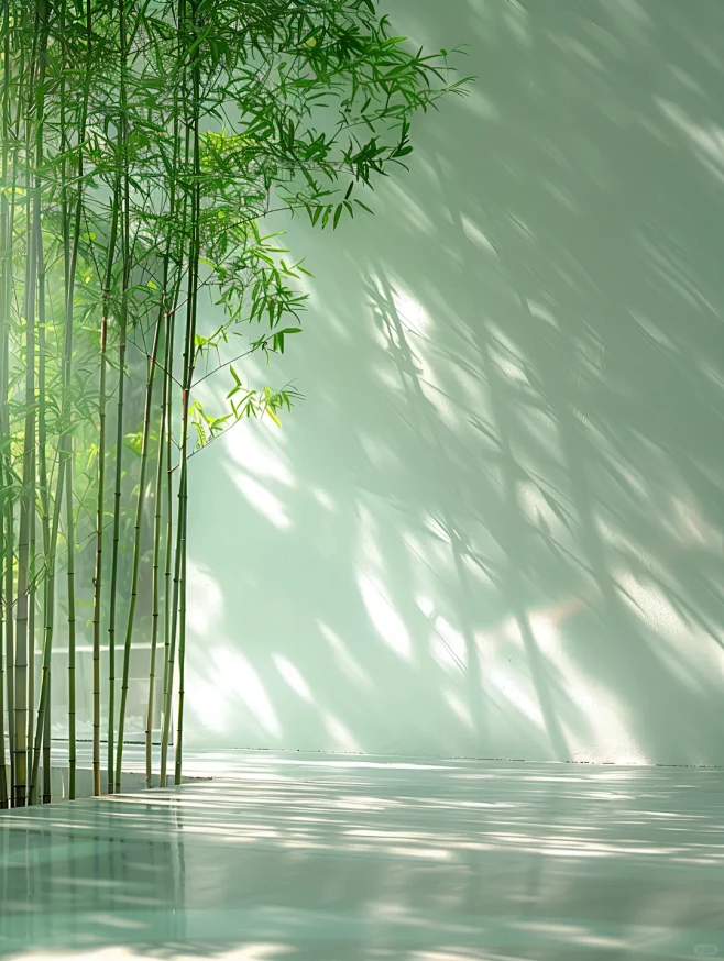 青竹弄影 - 小红书-花瓣网