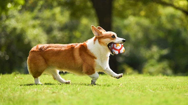 花瓣灵感详情页-花瓣网