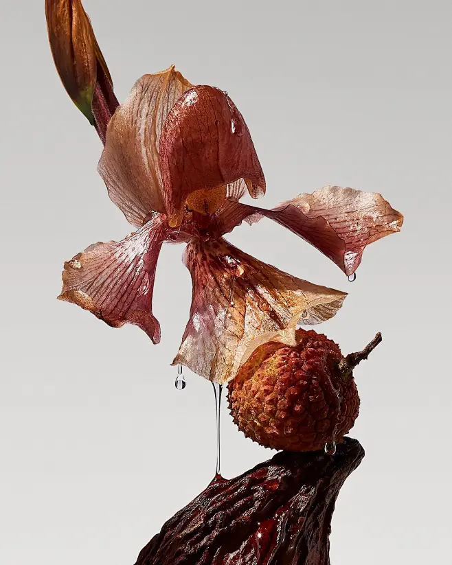 Photo shared by Joe Saraceno on October 18, 2023 tagging @wilson_off ...